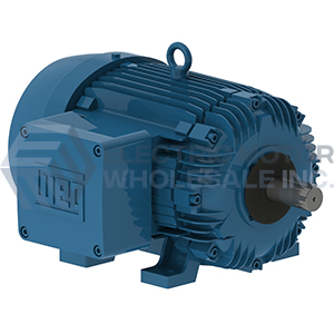 WEG Motors Three Phase General and Definite Purpose